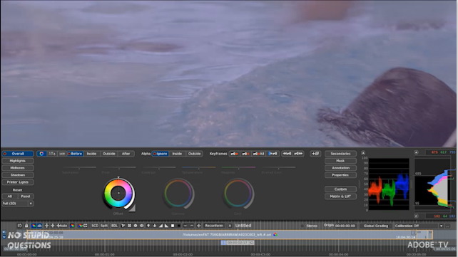 Adobe SpeedGrade Coming to Producting Premium CS6?