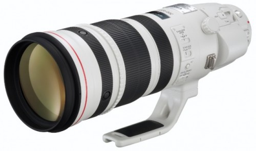 Canon EF 300-600mm f/5.6 with 1.4x Teleconverter Lens Patent Surfaces