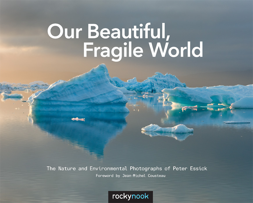 Our Beautiful, Fragile World – New Book