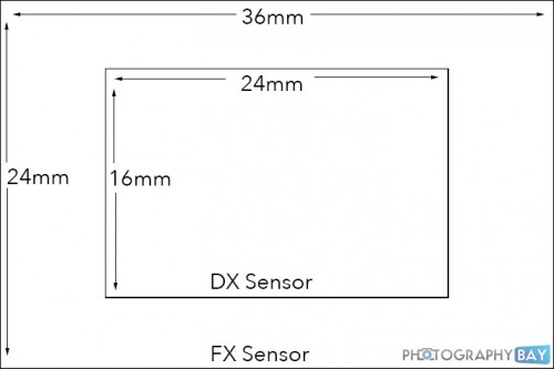 What is the Difference Between Nikon DX and FX Lenses?