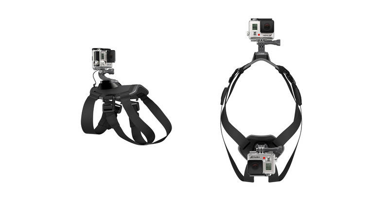 GoPro Fetch is a New Mount for Dogs