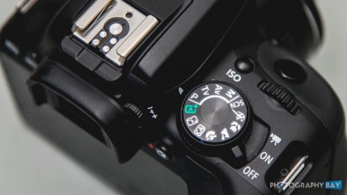 How to Use P Mode (or Program Mode) on DSLRs & Digital Cameras