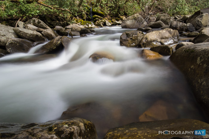 Nikon D5500 Real World Sample Photos