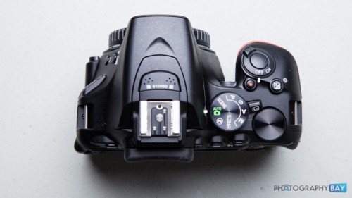 Nikon D5500 Review