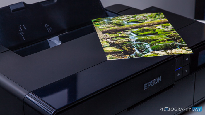 7 Steps to Borderless Printing in Lightroom